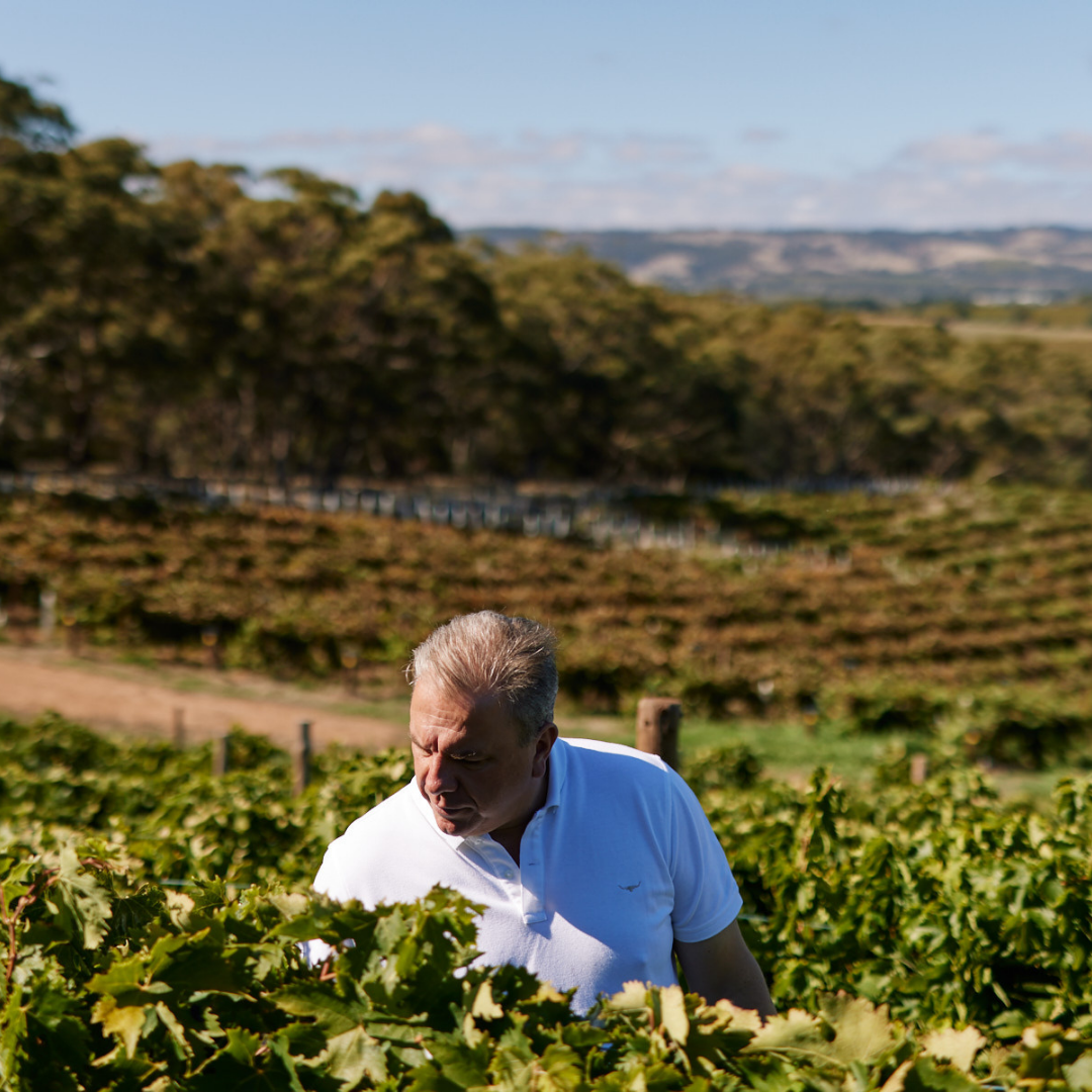 The Kings' Creed Fleurieu Peninsula Rose 2025